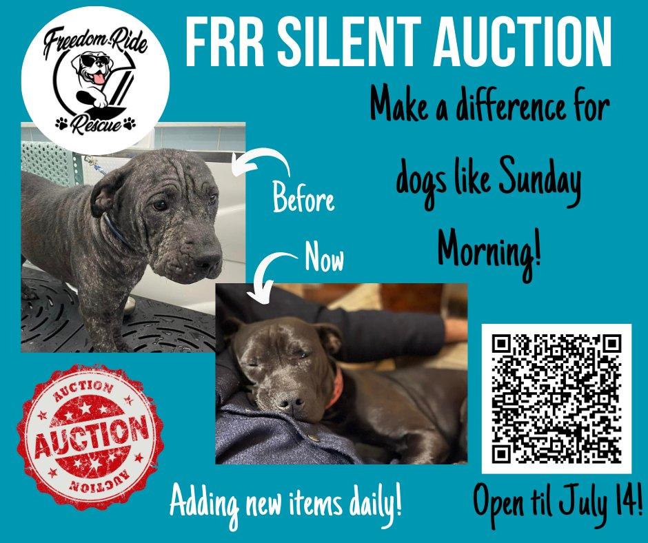 Events | Freedom Ride Rescue